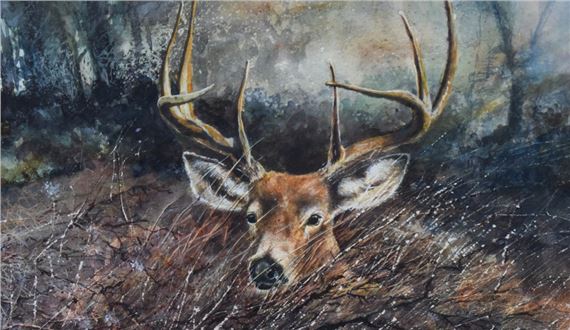 John Macdonald | A stag within a bleak woodland setting | MutualArt