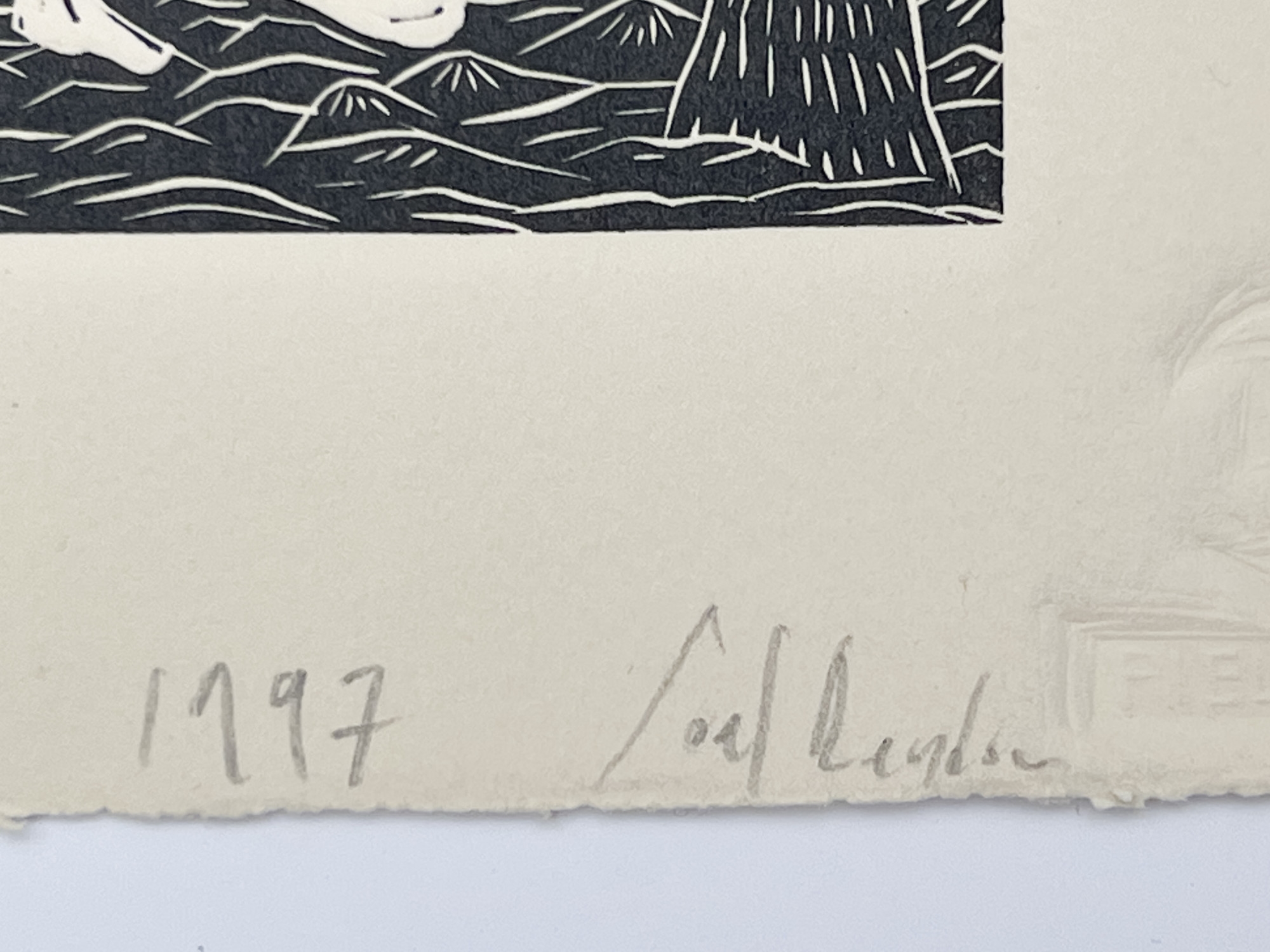 Joel Rendon | El Volcán La Caldera El Viejo Lago de Texcoco | MutualArt
