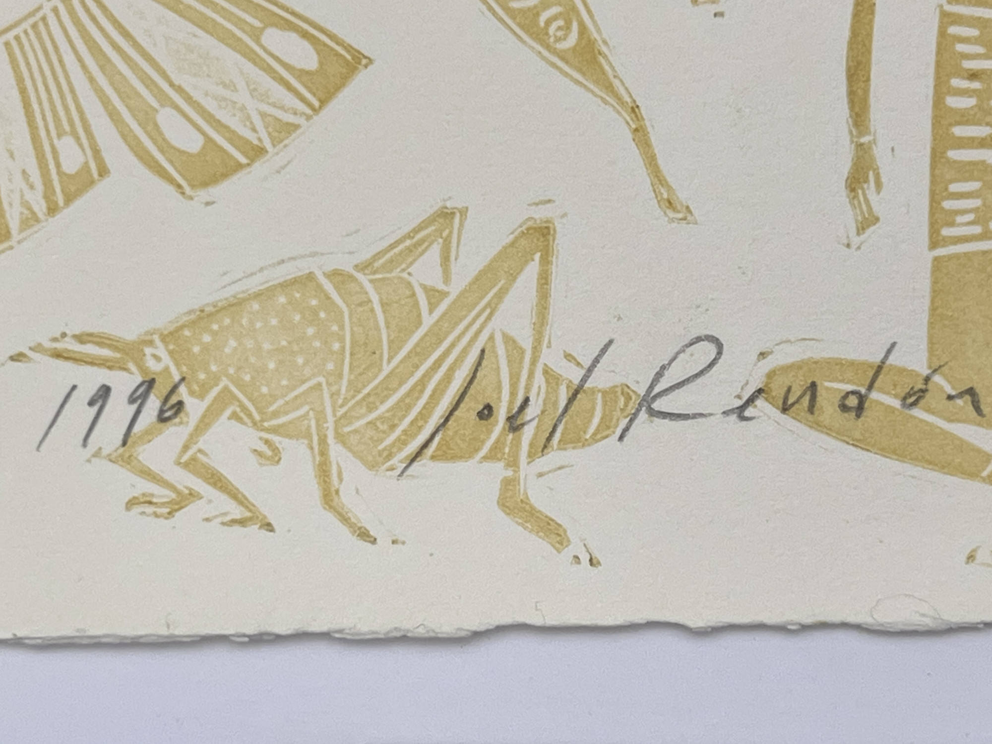 Joel Rendon | Flor de Agave | MutualArt