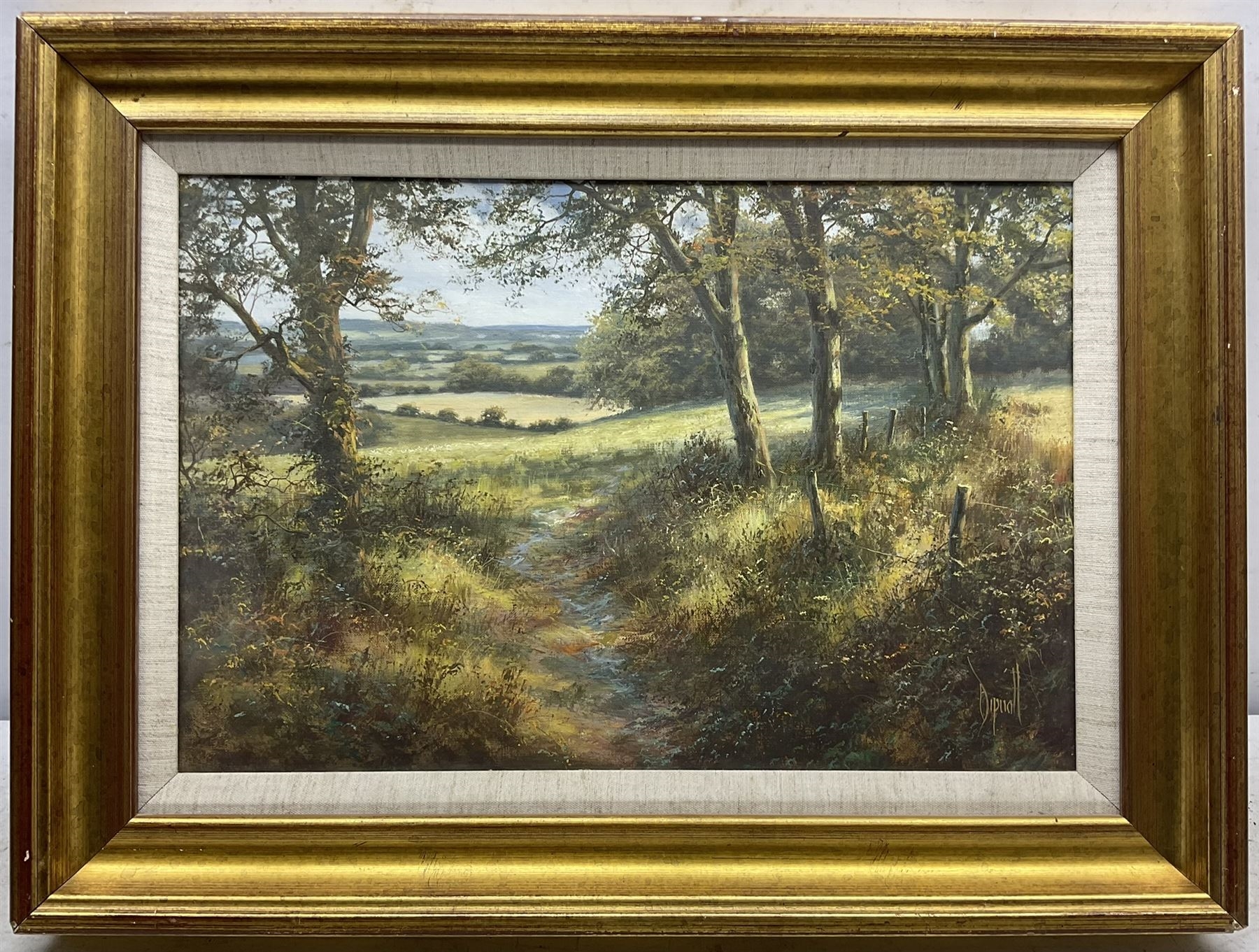 David Dipnall | Dappled Sunlight (1995) | MutualArt