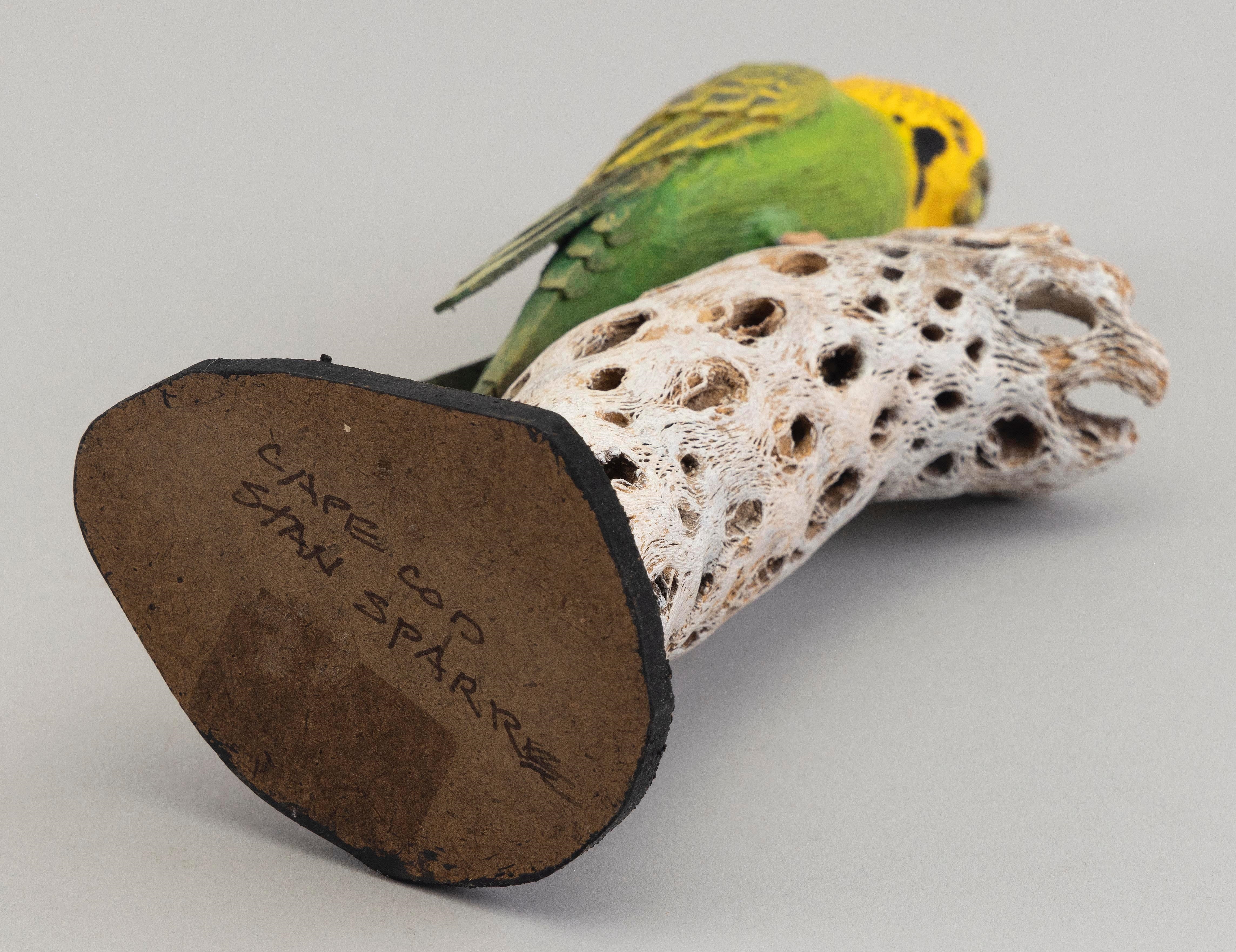 Stan Sparre | CARVING OF A PARAKEET | MutualArt