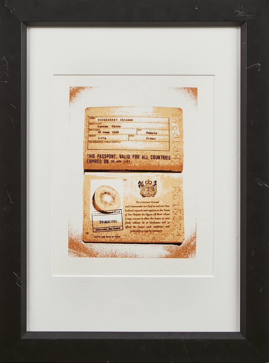 Sam Rawlings | 1st Generation Chinese New Zelander | MutualArt