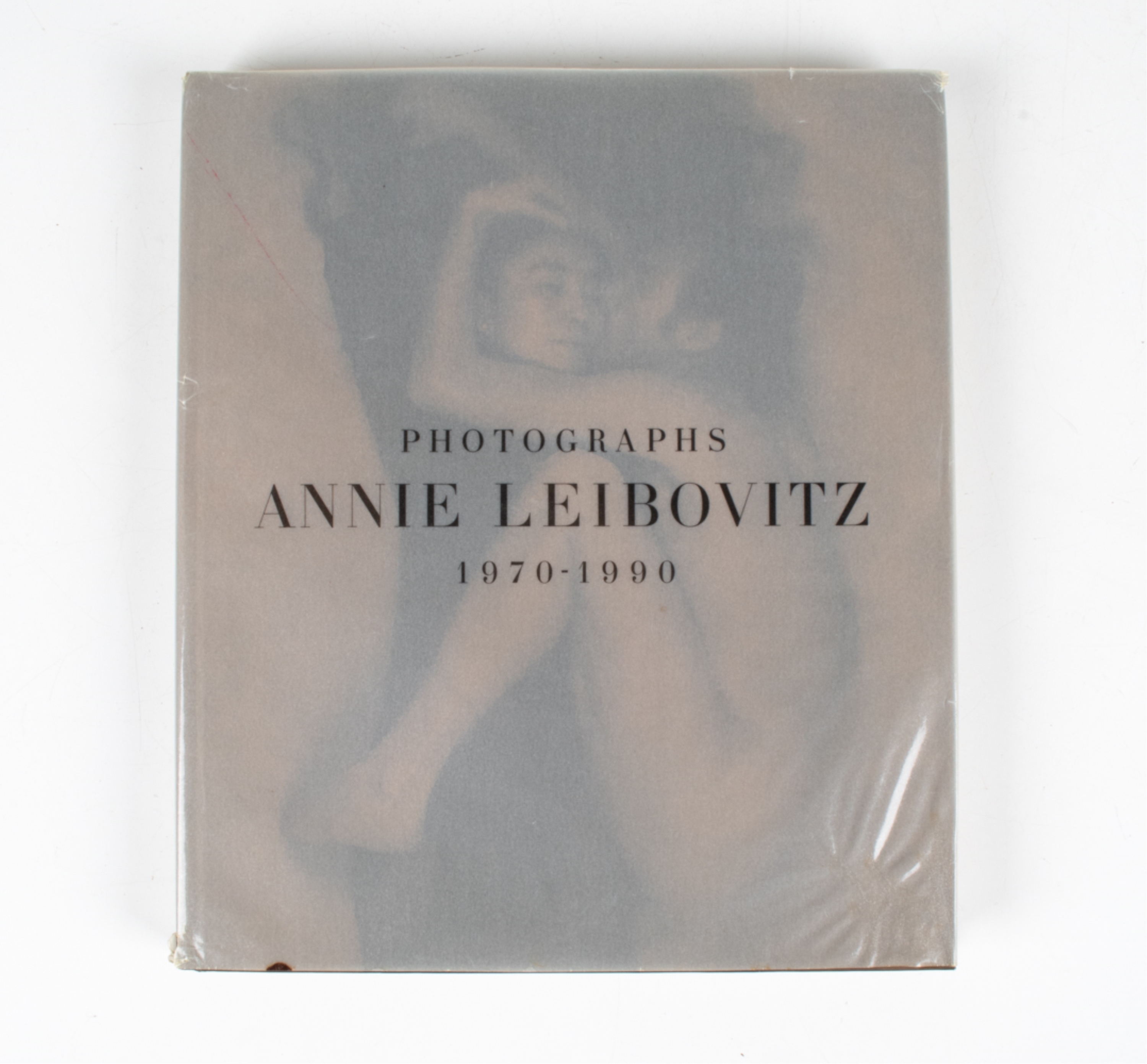 Annie Leibovitz | Bruce Springsteen | MutualArt