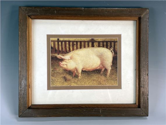 Jamie Wyeth | PIG | MutualArt