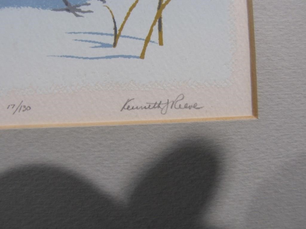 Kenneth Reeve | Junco | MutualArt