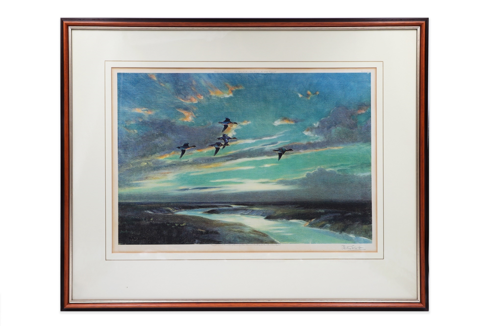 Peter Markham Scott | Geese Landing | MutualArt