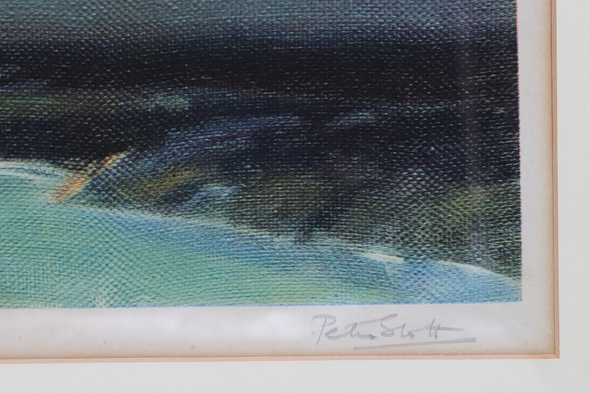 Peter Markham Scott | Geese Landing | MutualArt