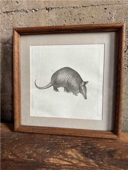 Phoebe Thorpe | 1 Artworks | MutualArt