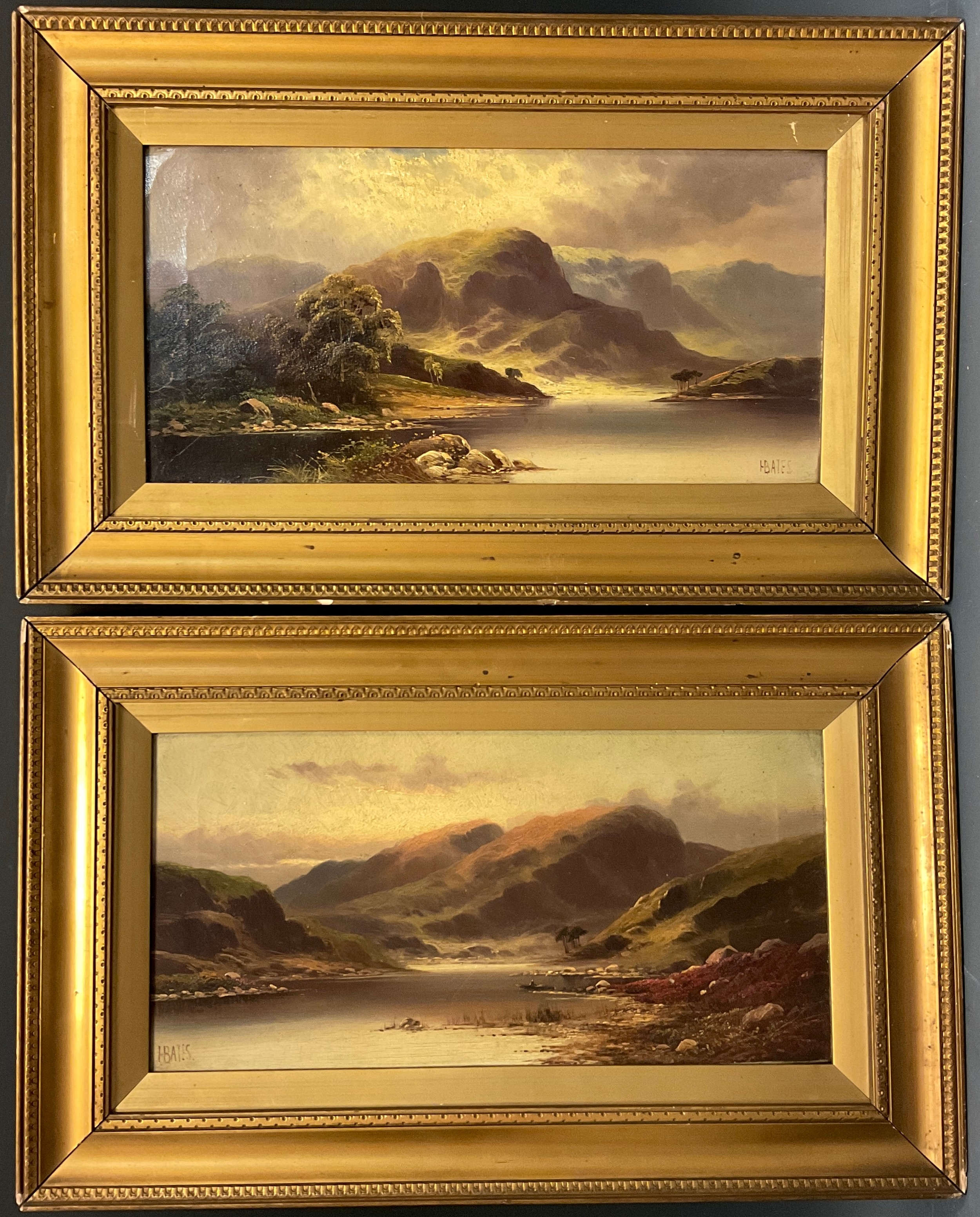 Henry Bates Joel | 'Sunlit valley after the storm' | MutualArt