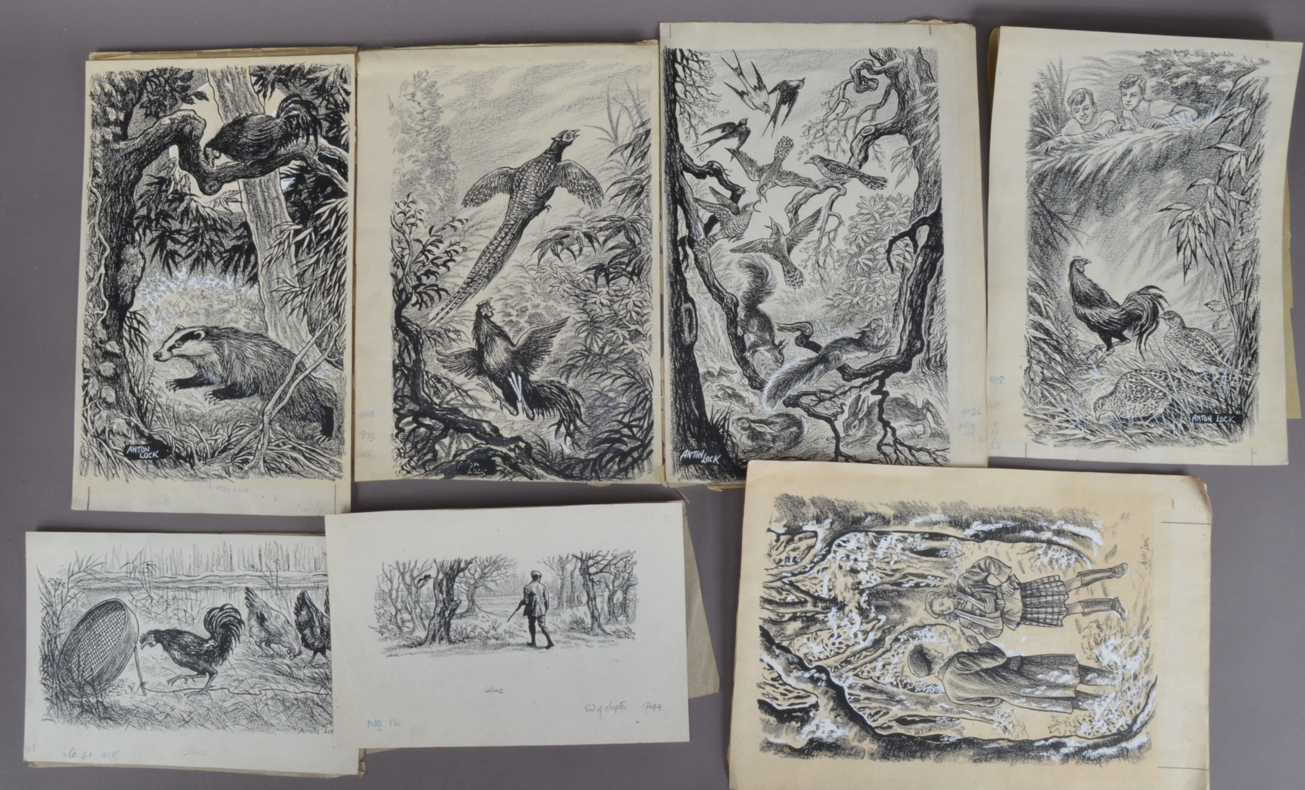 Anton Lock | a collection of 16 preparatory book illustrations | MutualArt