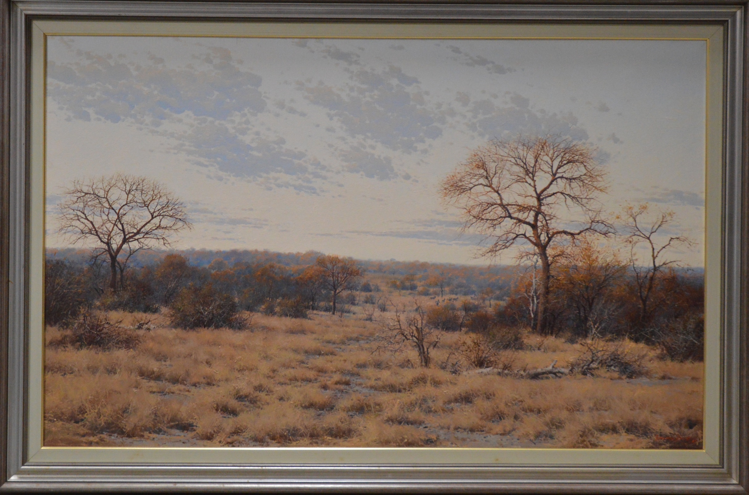 François Koch | Bushveld | MutualArt