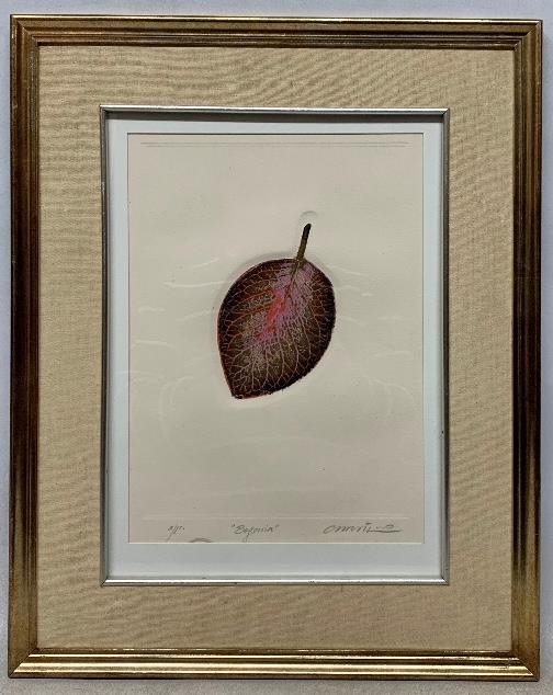 Rimer Cardillo | Begonia | MutualArt