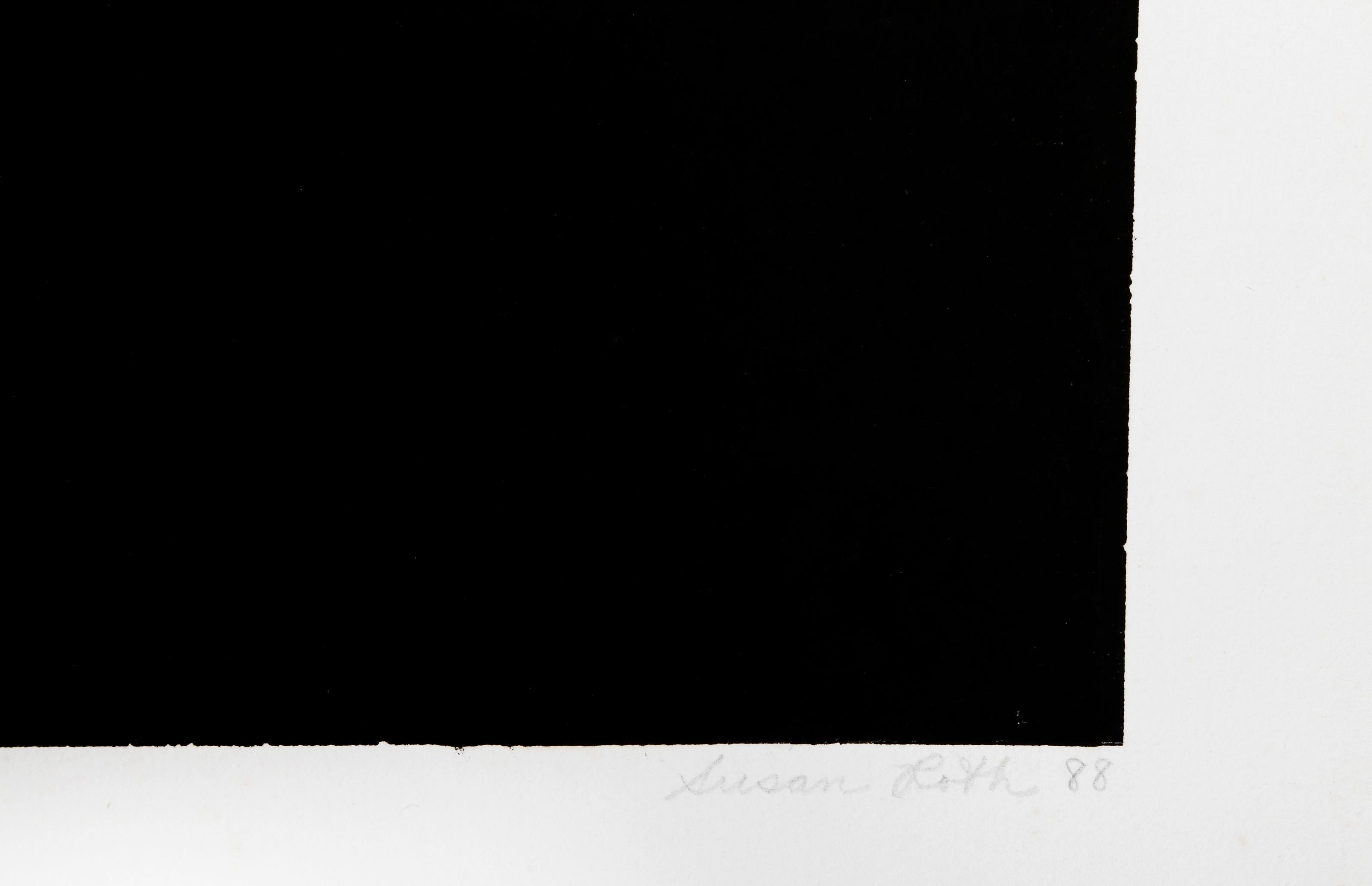 Susan Roth | DARK (1988) | MutualArt