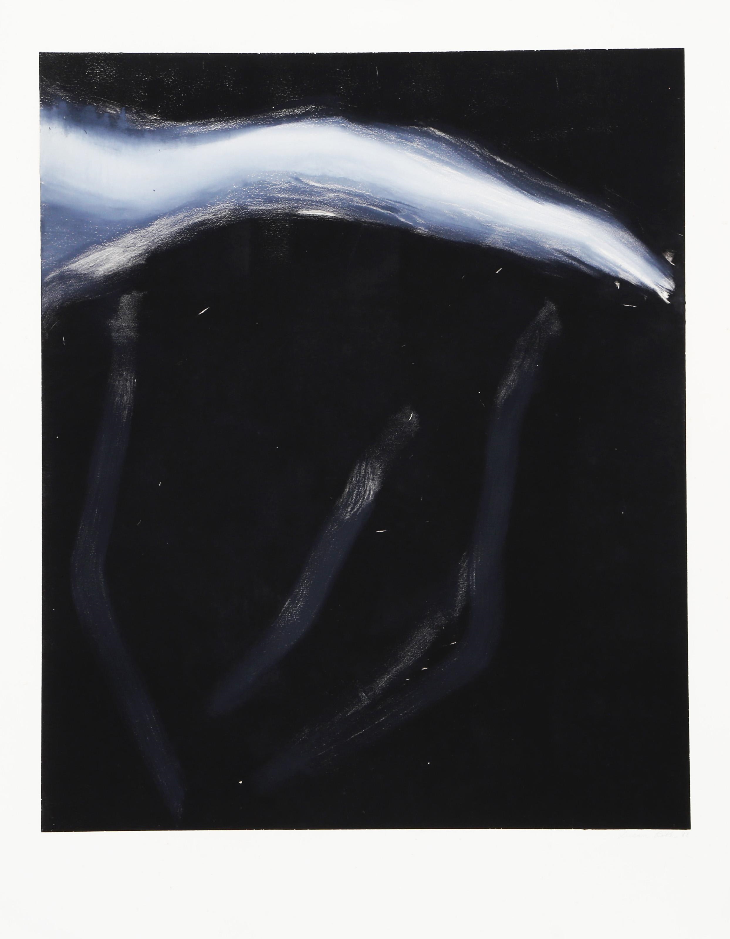 Susan Roth | DARK (1988) | MutualArt