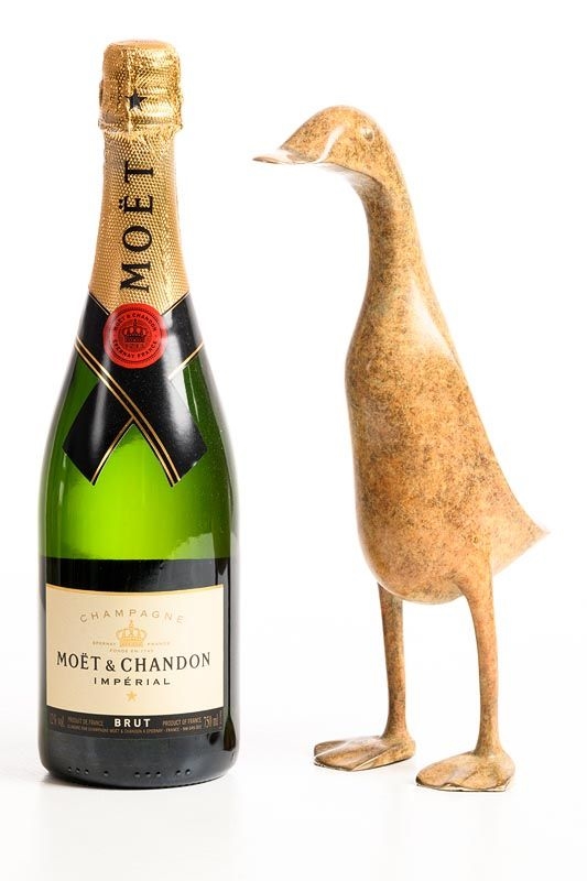 Timothy Joyce | Golden Duck | MutualArt