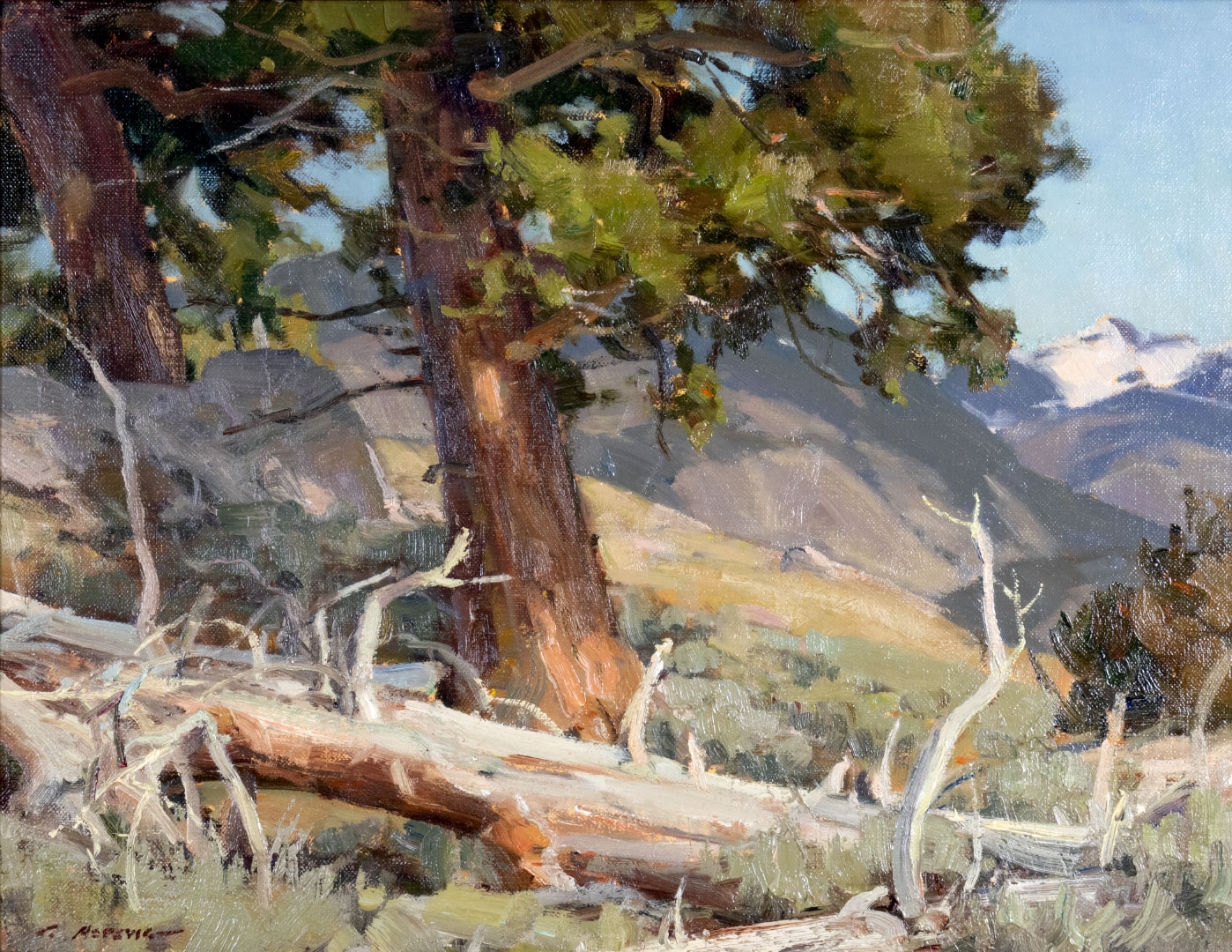 Clyde Aspevig | The Headwaters | MutualArt