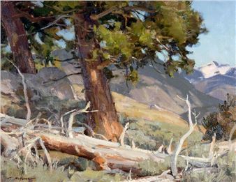 Clyde Aspevig | 390 Artworks at Auction | MutualArt