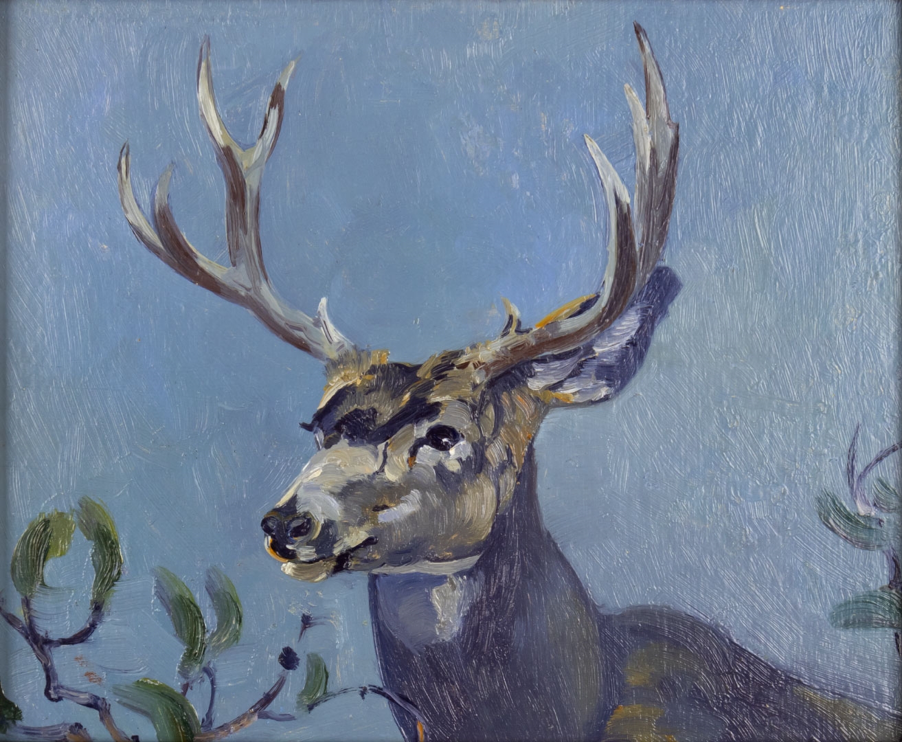 George Browne | Mule Deer Rack | MutualArt