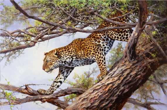 Eric Forlee | Leopard in Acacia Tree (1993) | MutualArt