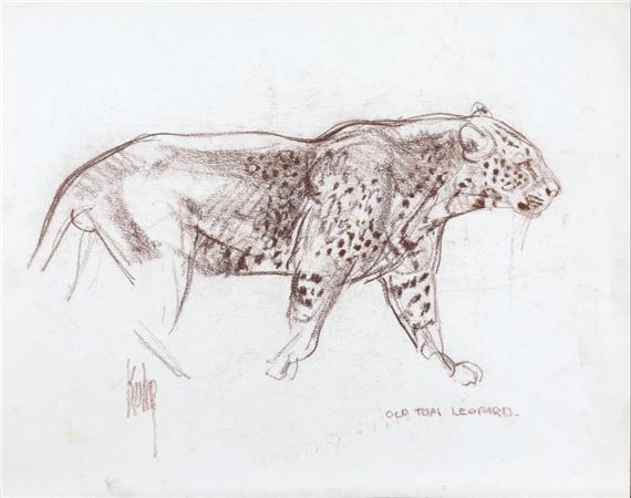 Bob Kuhn | Old Tom Leopard | MutualArt