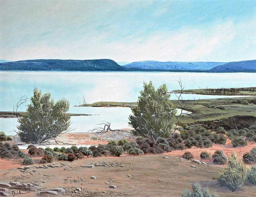 David Clyde Dridan | Calm Waters, Coorong | MutualArt