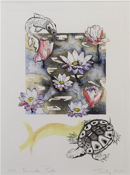 TIMOTHY MARTIN | Freshwater Turtle | MutualArt