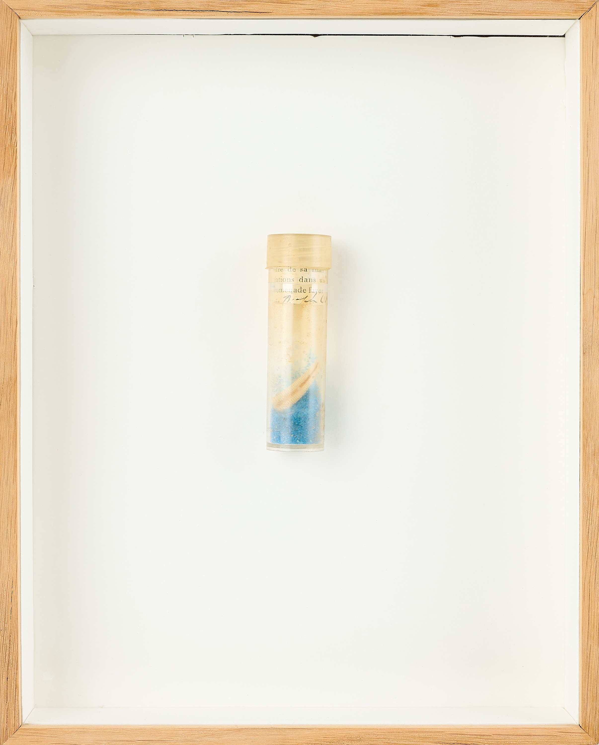 Joseph Cornell | Untitled (Souvenir Box with Leaf) (Circa 1950) | MutualArt