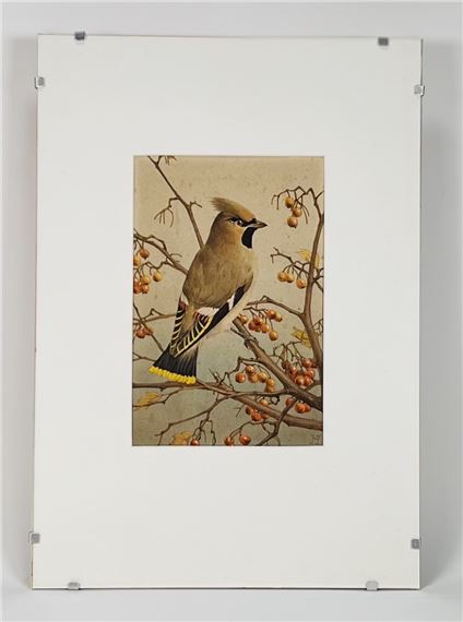Jan Voerman II | Een pestvogel met lijsterbessen (1937) | MutualArt