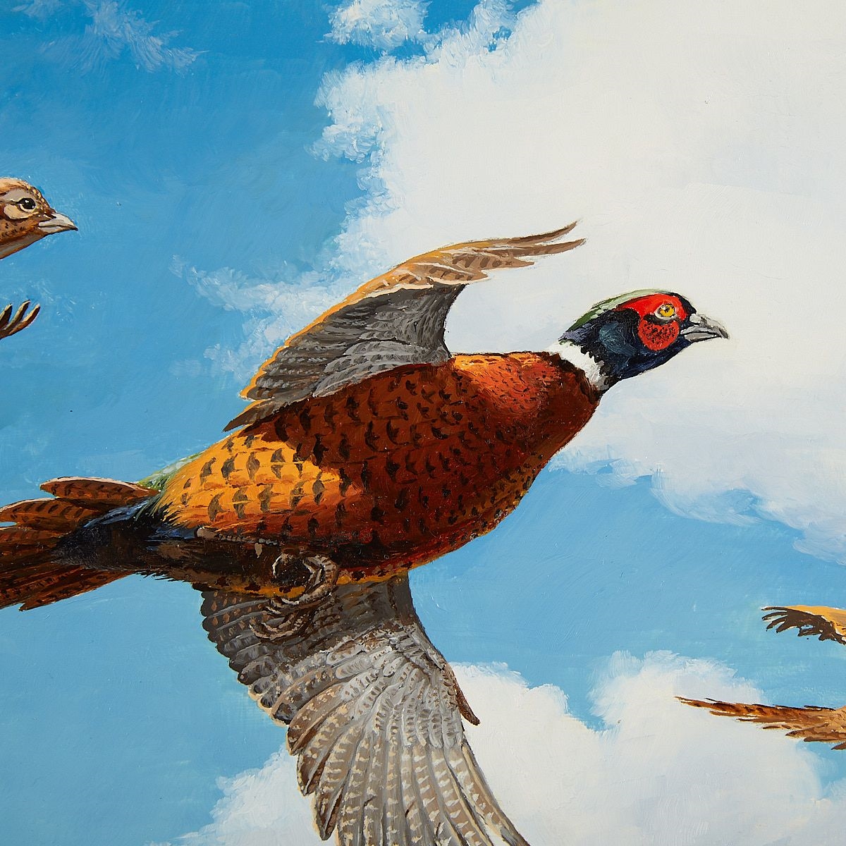 David Maass | Tomahawk Trail: Pheasants (2002) | MutualArt