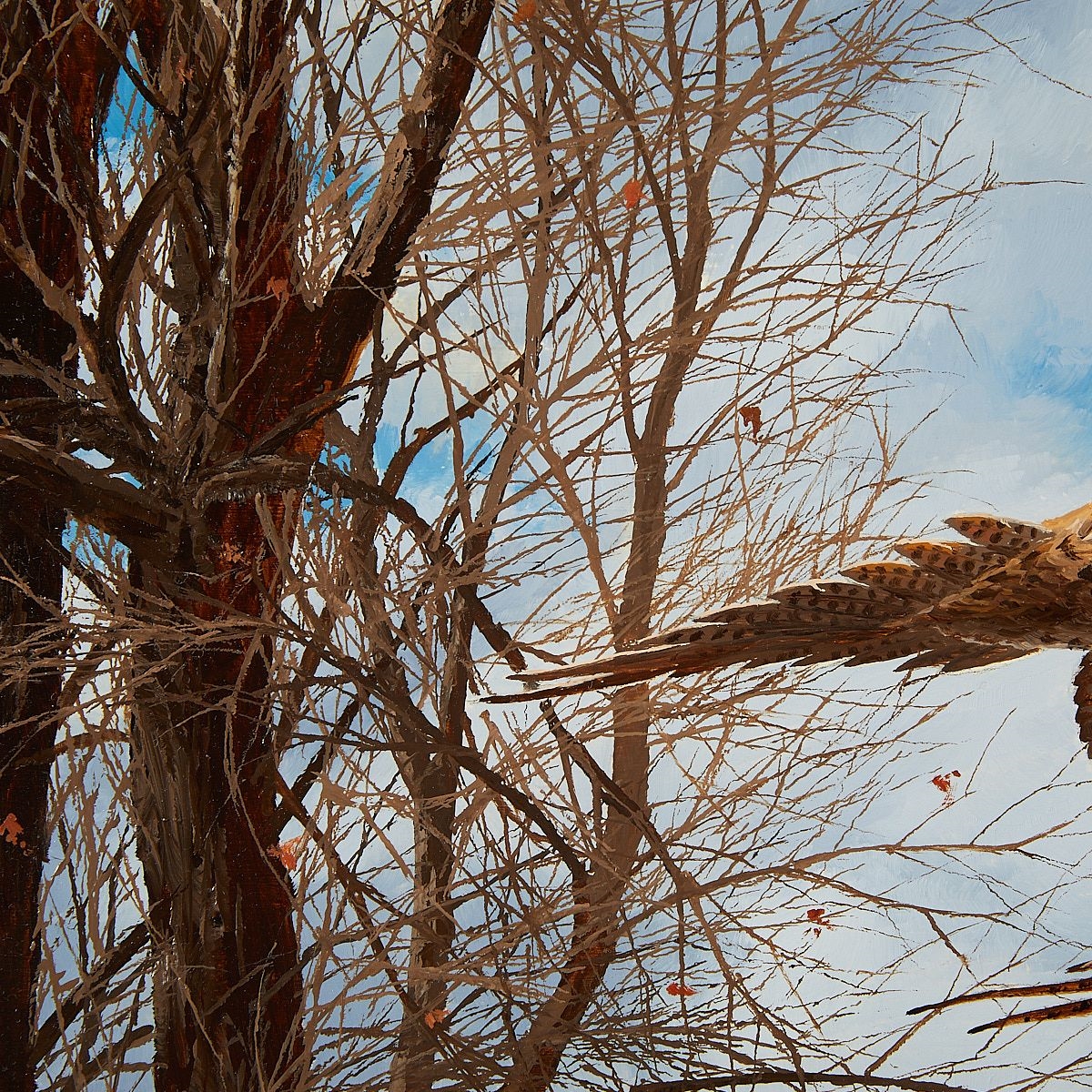 David Maass | Tomahawk Trail: Pheasants (2002) | MutualArt