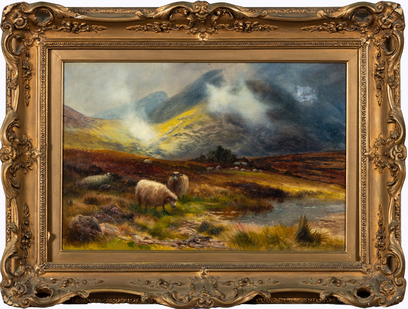 Douglas Cameron | sheep in highlands | MutualArt