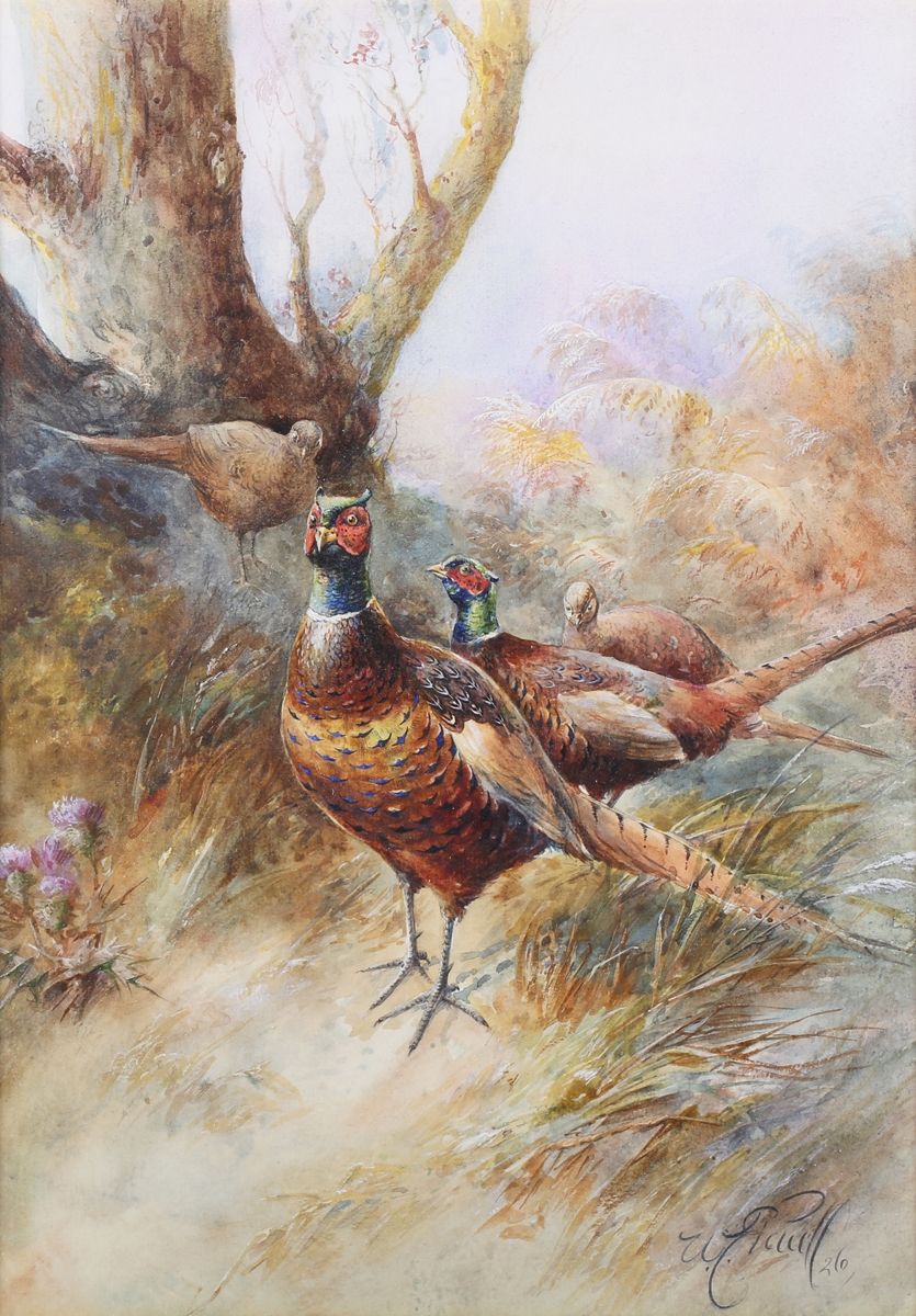 William E. Powell | Pheasants in a Landscape (20th Century) | MutualArt