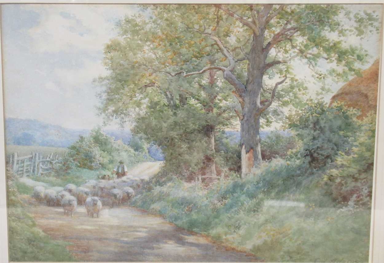 Charles James Adams | Sheep on a country path | MutualArt