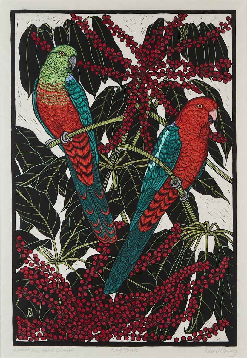 Rachel King | King Parrot | MutualArt