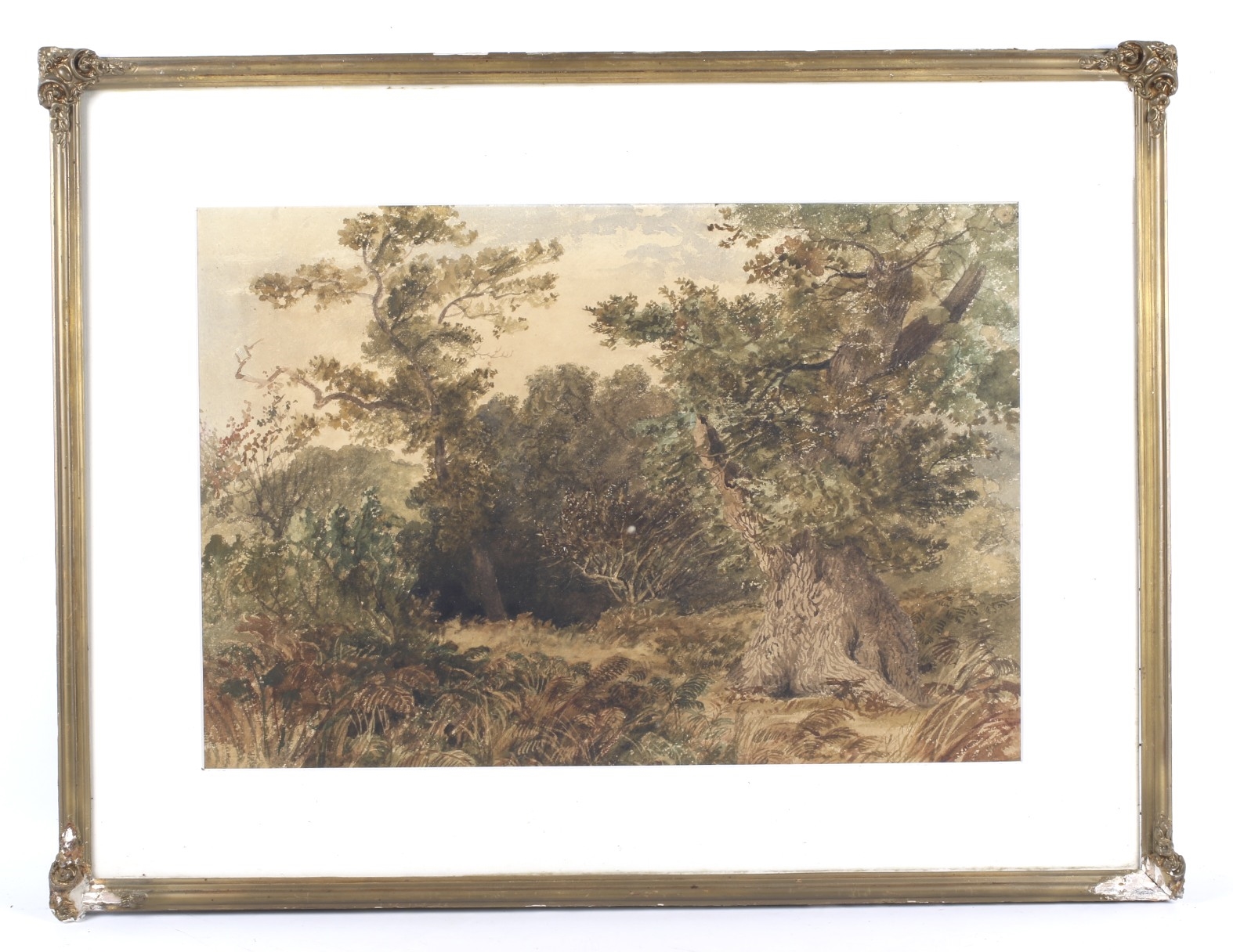 William Bennett | An Old Oak Tree in a Forest Clearing | MutualArt