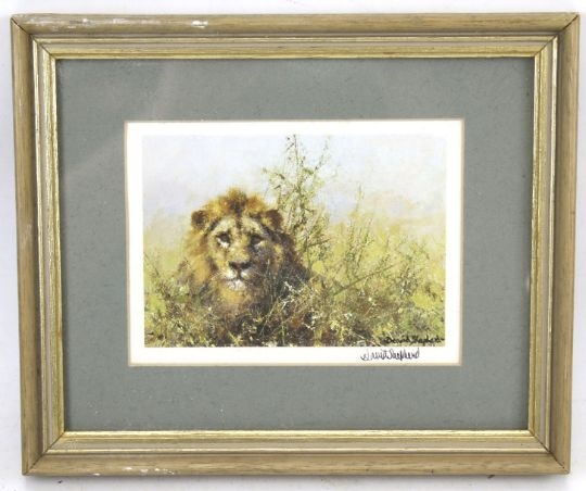 David Shepherd | Depicting a lion | MutualArt