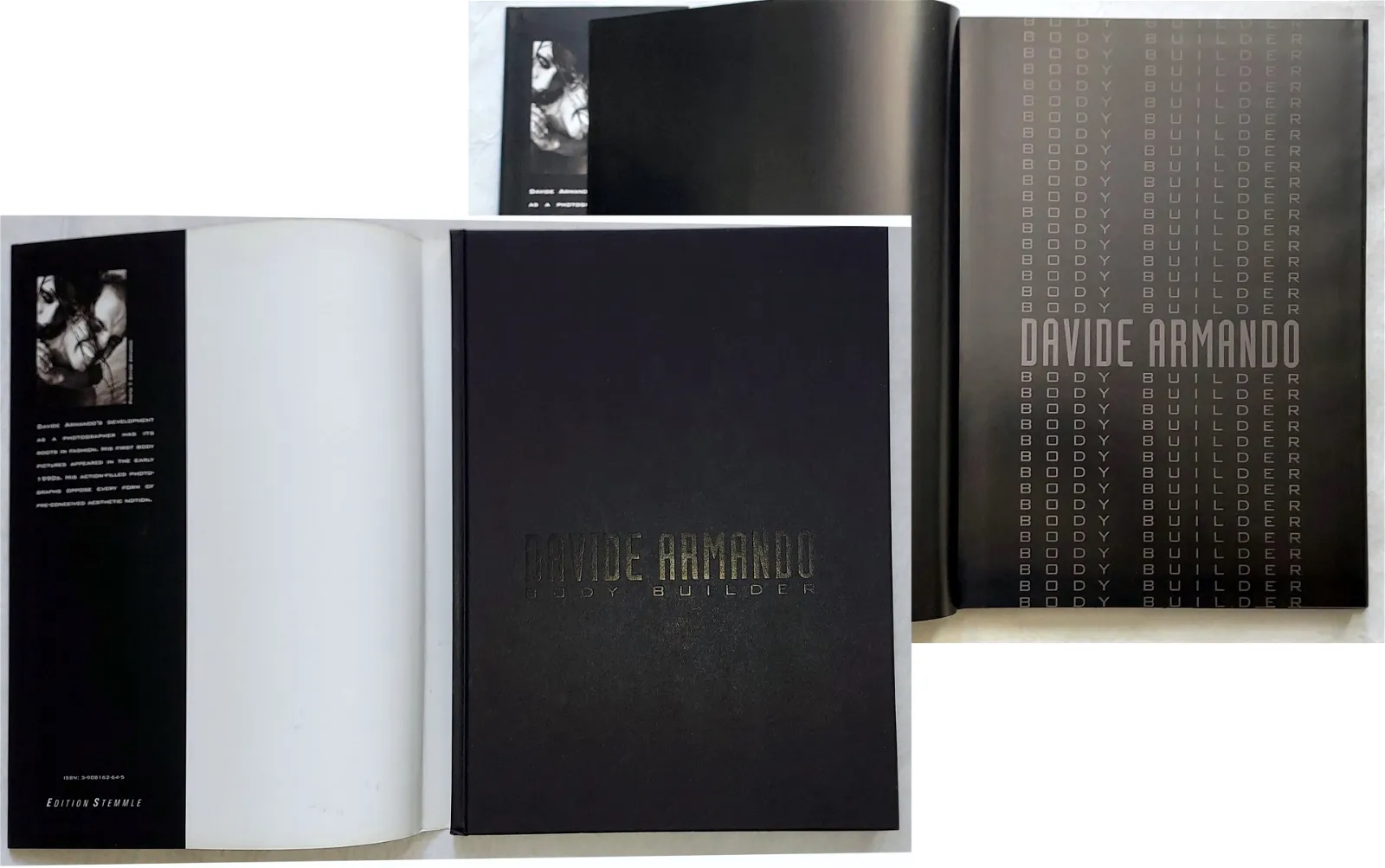 Davide Armando | Body Builder (1998) | MutualArt