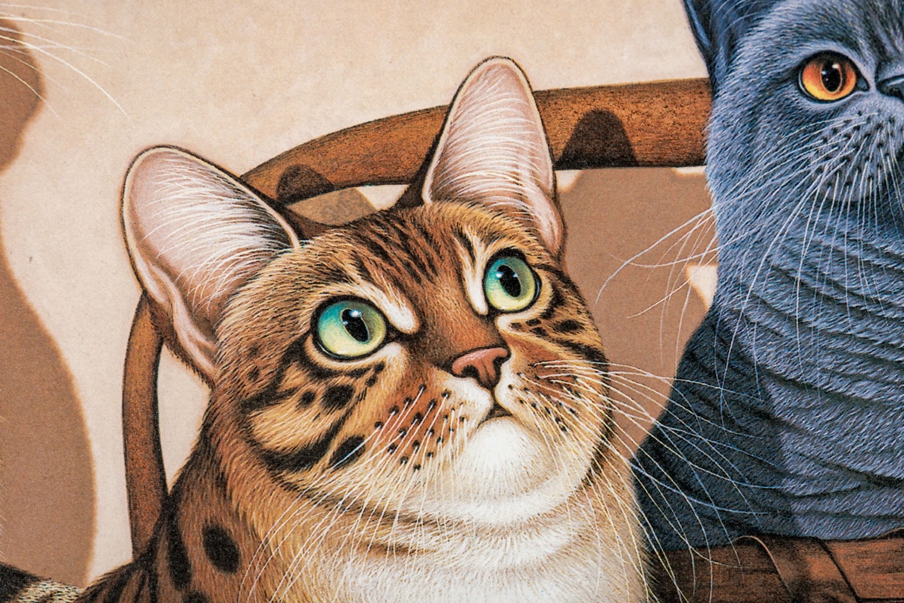 Braldt Bralds | different breeds of cats in baskets | MutualArt