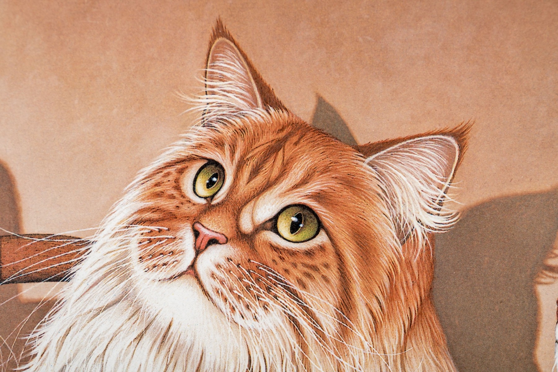Braldt Bralds | different breeds of cats in baskets | MutualArt
