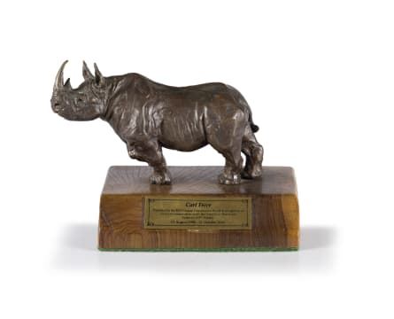 Jo Roos | Rhino (2016) | MutualArt