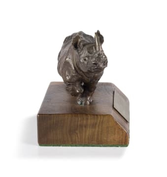 Jo Roos | Rhino (2016) | MutualArt