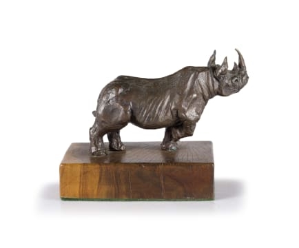 Jo Roos | Rhino (2016) | MutualArt