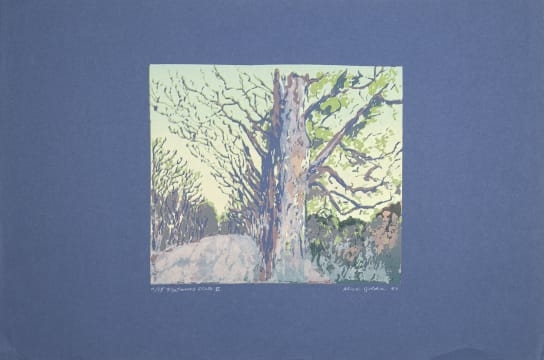 Alice Goldin | Platanes State II | MutualArt