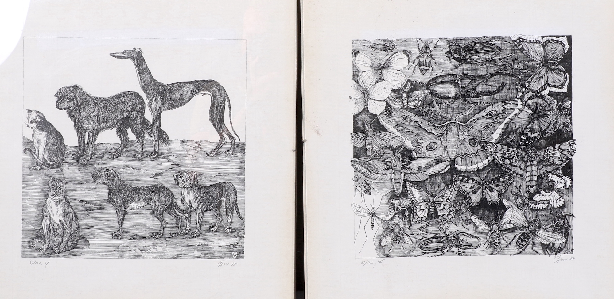 Peter Atanasov | THE TWELVE ZODIAC SIGNS | MutualArt