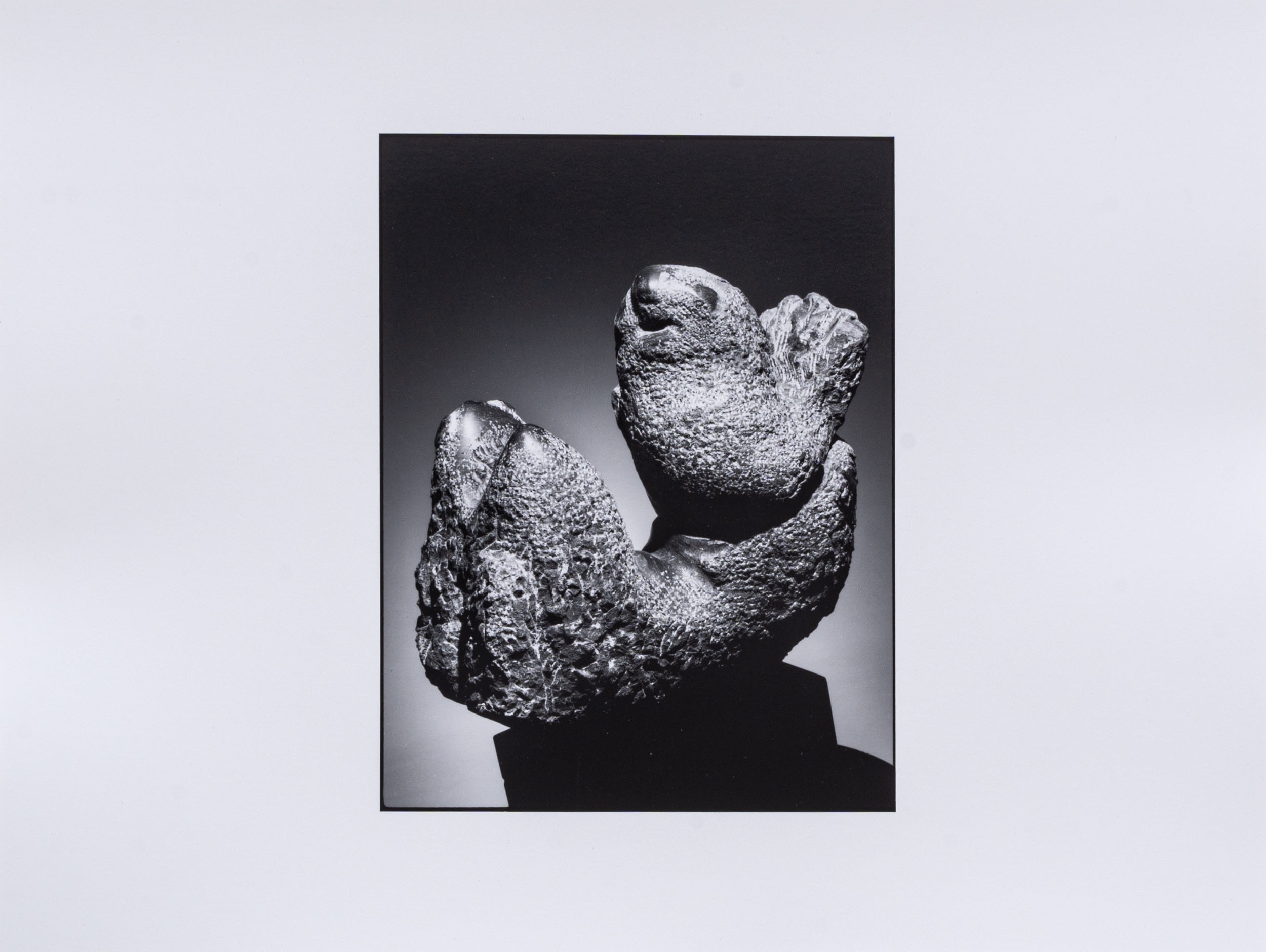 Mario Carrieri | Sedici sculture di Gino Cosentino fotografate da Mario ...