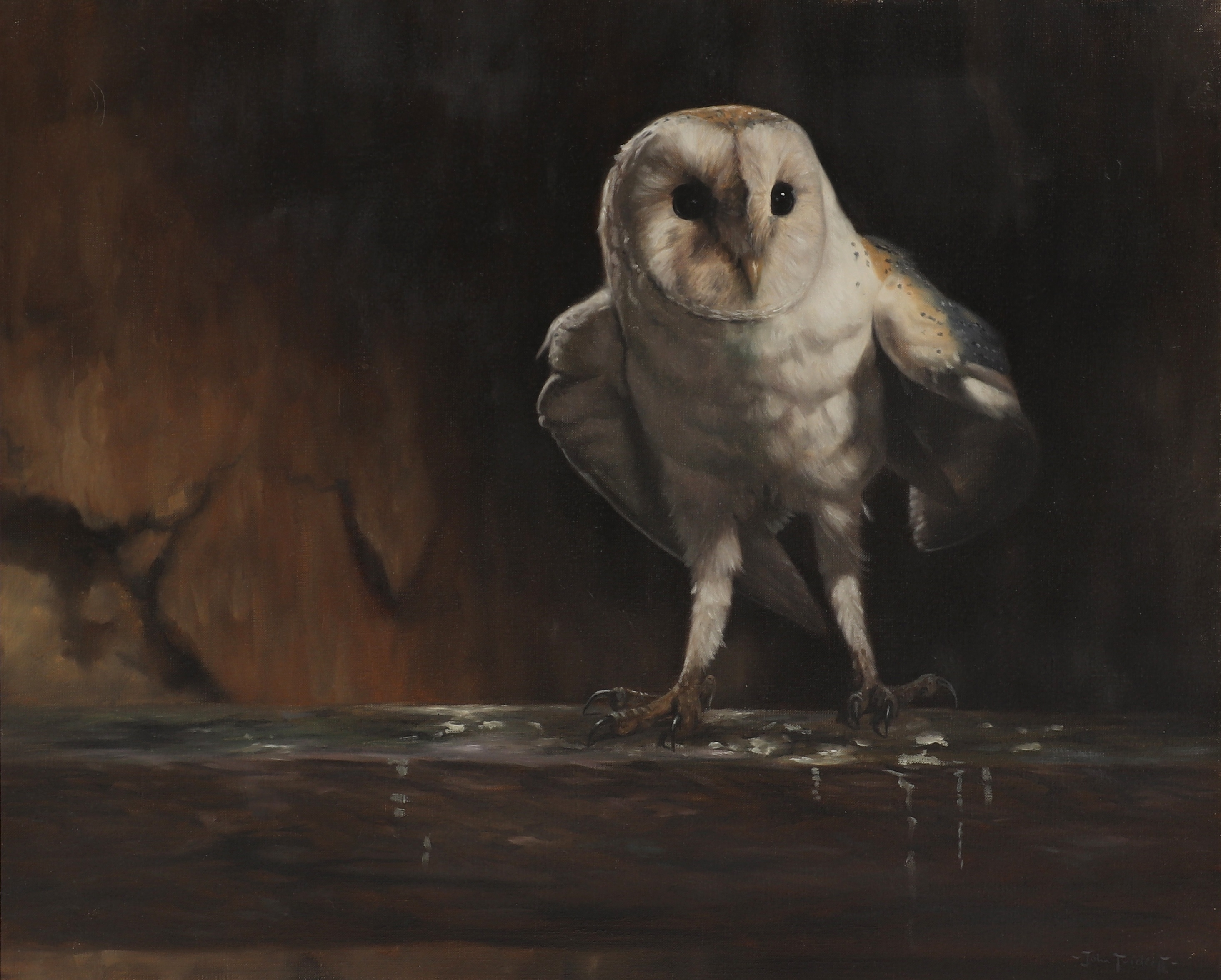 John Trickett | A barn owl | MutualArt