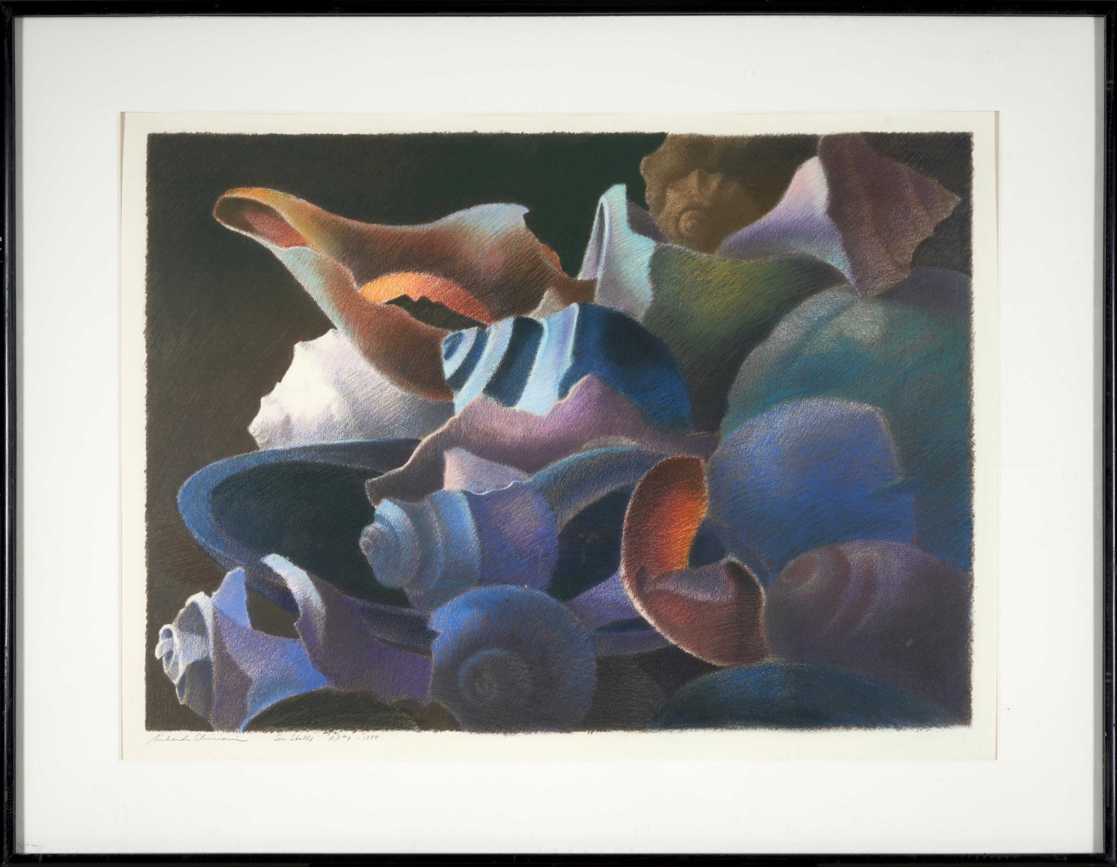 Richard Chiriani | Sea Shells (1988) | MutualArt