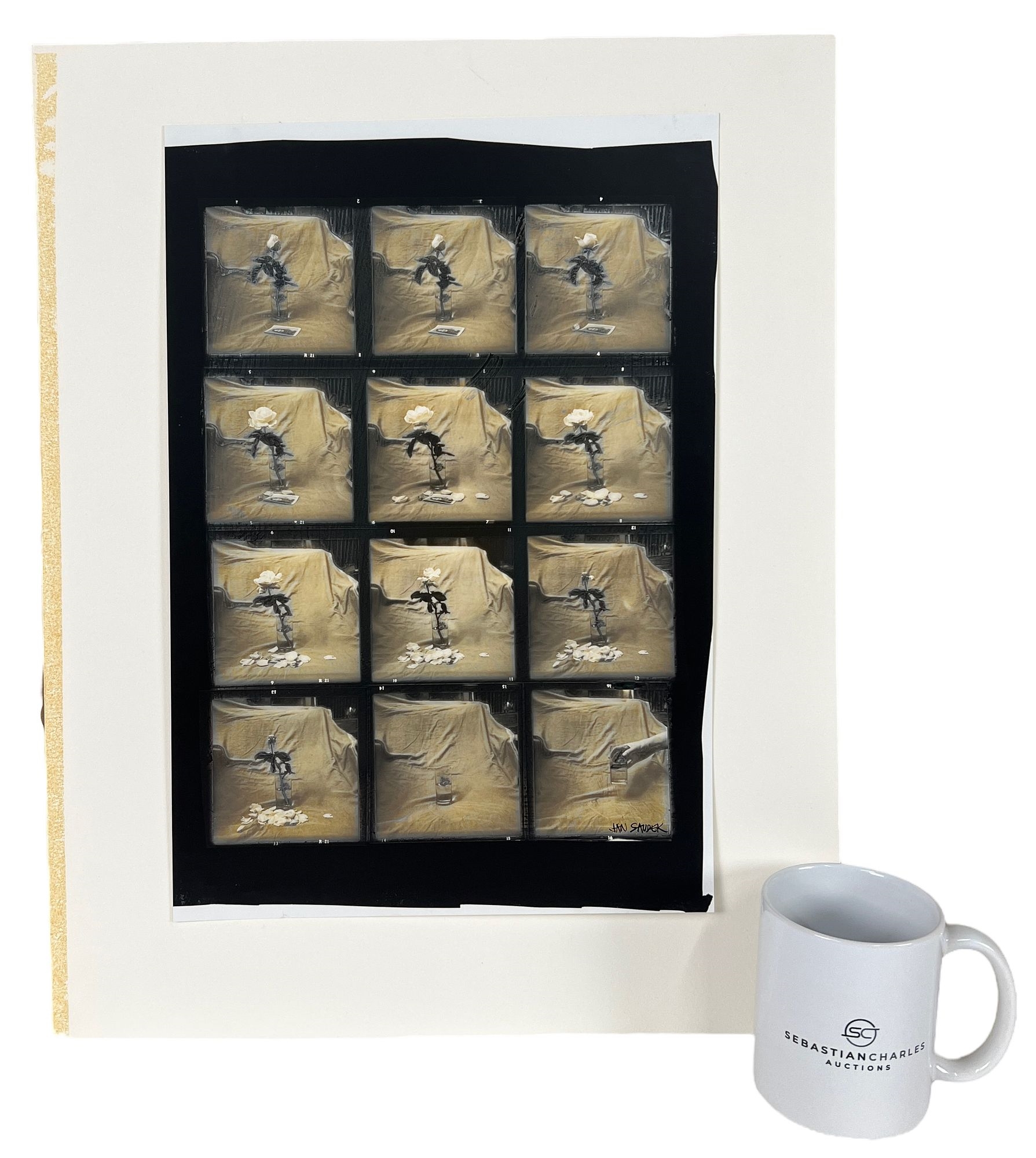 Jan Saudek | Flower Study | MutualArt