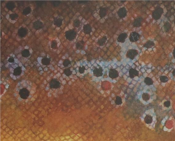 Eileen Klatt | Brown Trout / Salmo Trutta | MutualArt