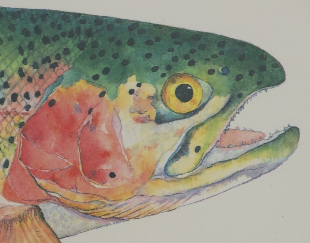 Eileen Klatt | Rainbow Trout | MutualArt